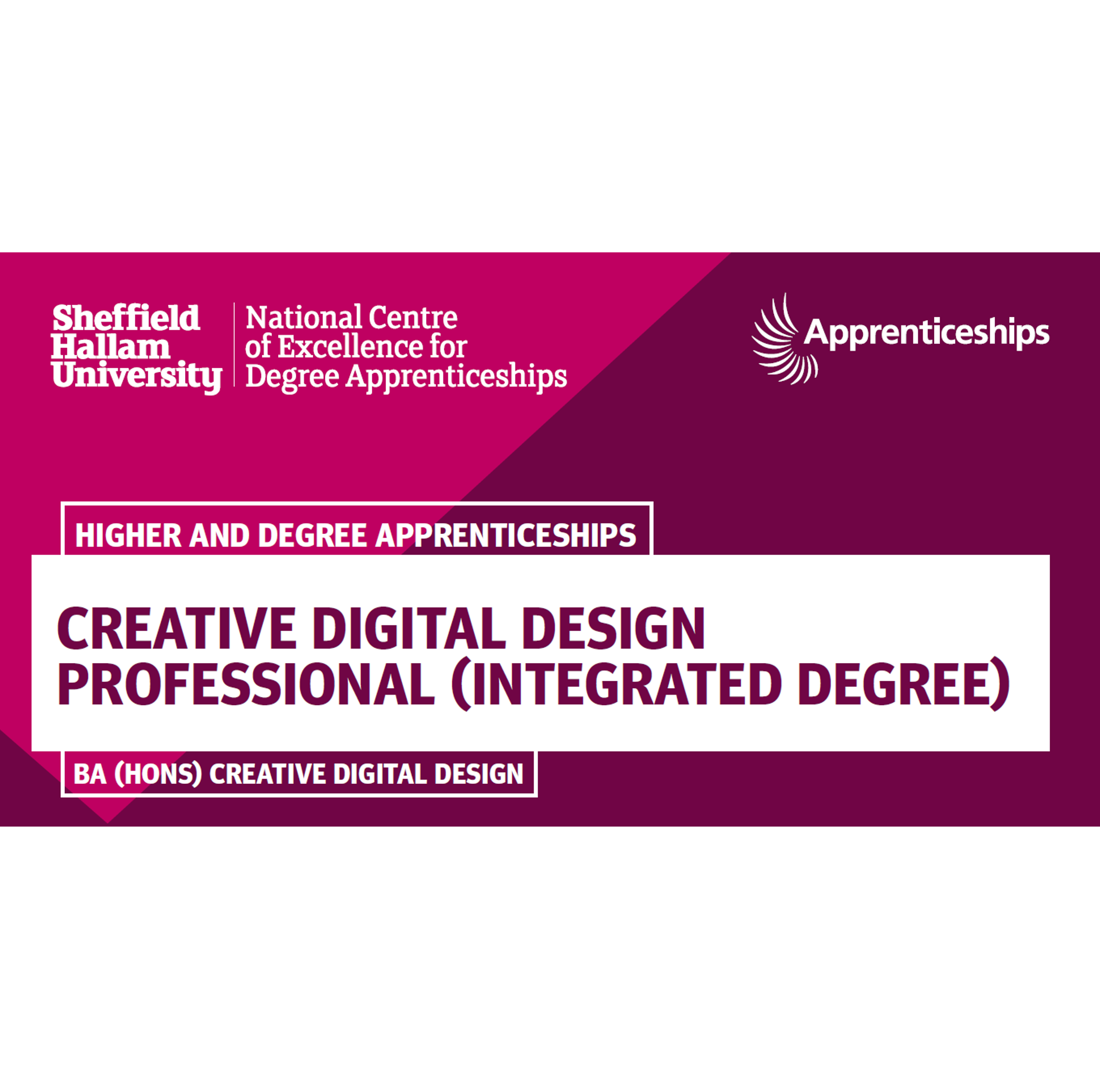 Creative Digital Design Professional - BPIF Training