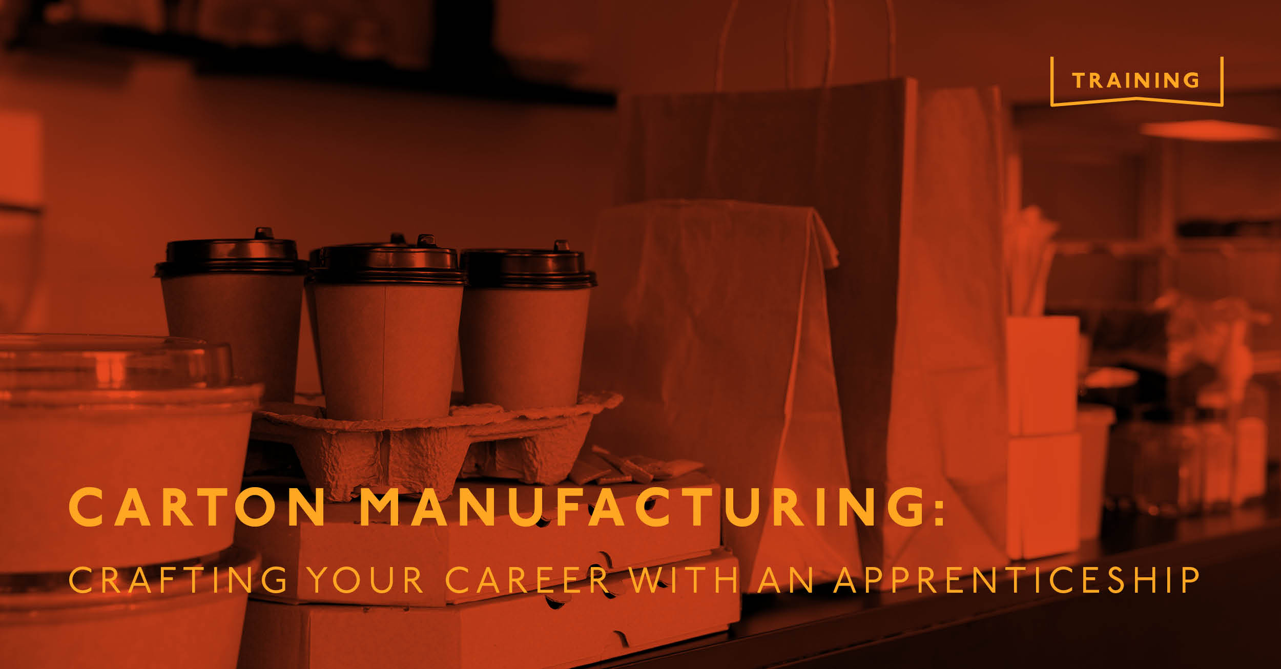 Carton Manufacturing: Crafting Your Career with an Apprenticeship - BPIF Training